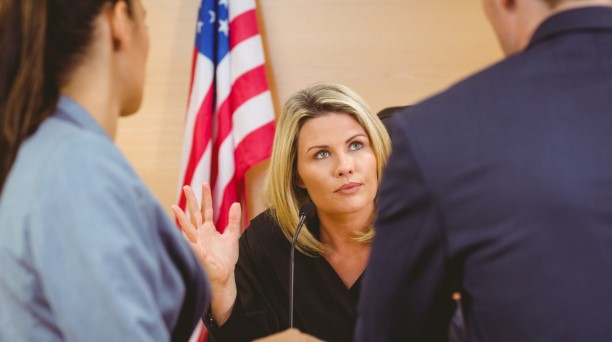 The ALJ: What Are They, What Do They Do and More